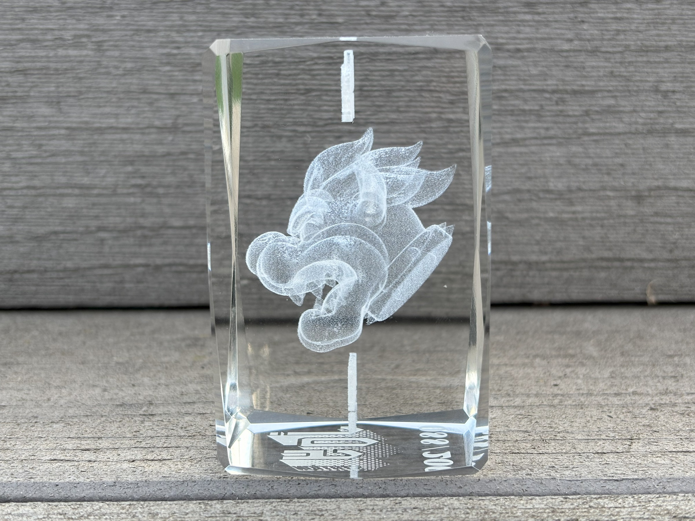 The Bowser Shrine - A Fan Site Dedicated to King Bowser Koopa!